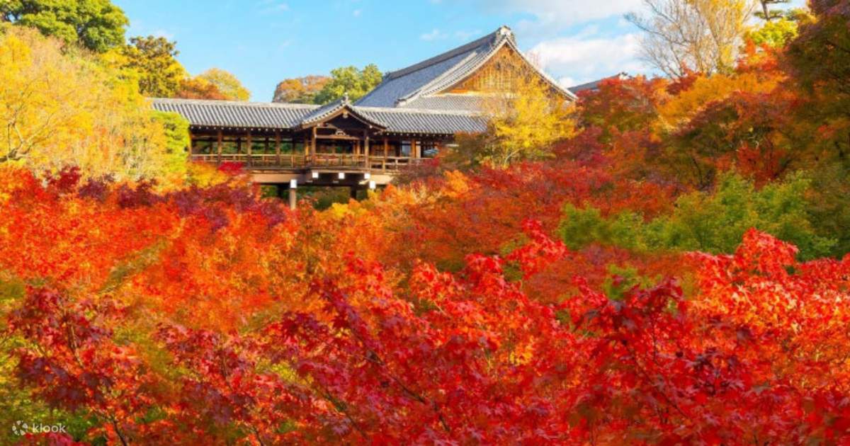 교토 토후쿠지 사원 And 후산잔자카 And 기부네 신사 일일 단풍구경 투어 클룩 Klook 한국